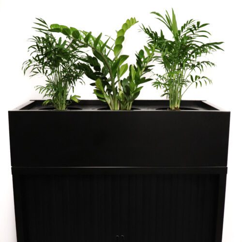 Office Vibes: Green, Clean Air with Office Planter Boxes